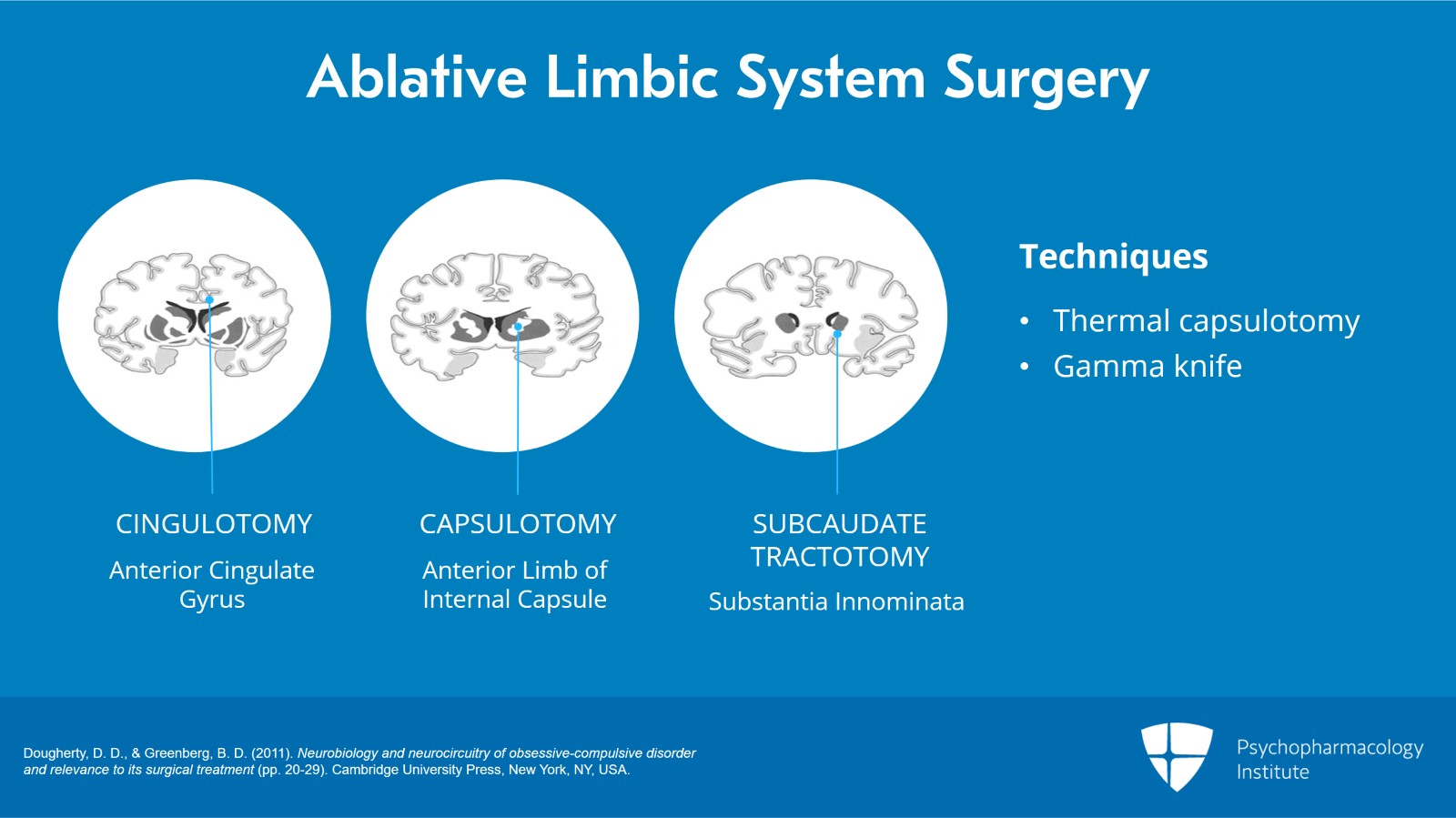 Psychopharmacology Institute